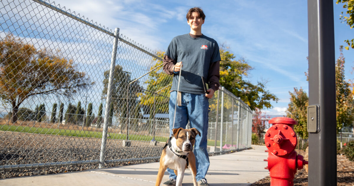 Animal Connections | Associated Students of CSU, Chico - Chico State